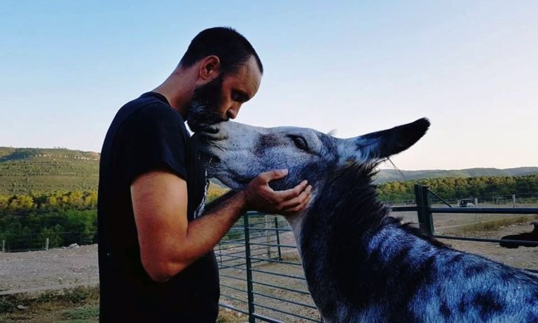 This loving donkey does not stop kissing the man who saved his life ...